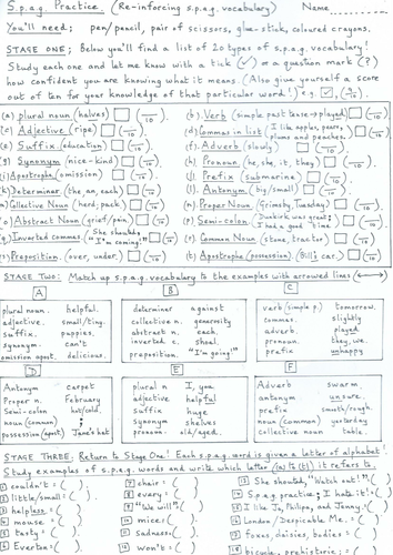 S.P.A.G. revision to break the monotony!! | Teaching Resources