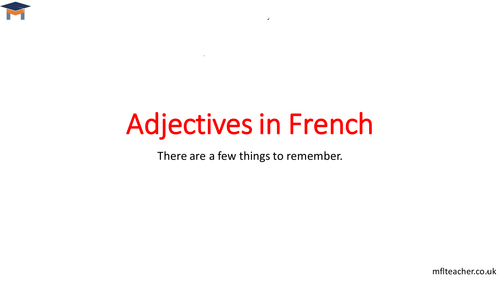 French - Adjectives | Teaching Resources