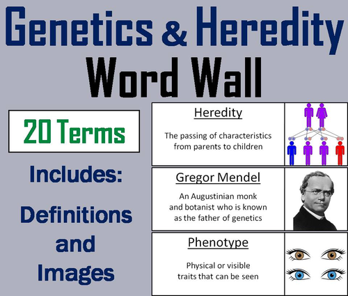 Genetics and Heredity Word Wall Cards | Teaching Resources