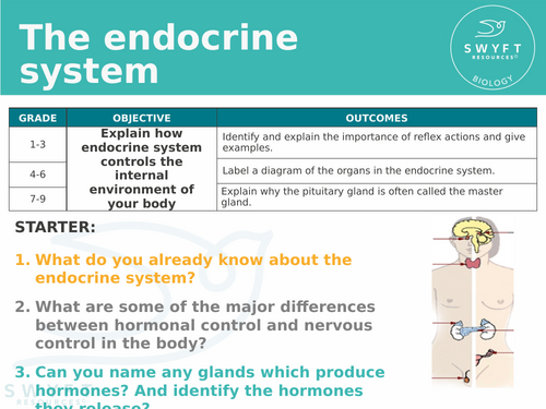 NEW AQA GCSE Trilogy (2016) Biology - The endocrine system | Teaching ...