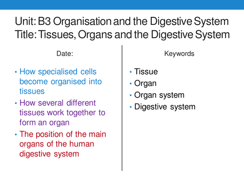 New 9-1 GCSE AQA Biology B3 Tissues, Organs and Digestive System | Teaching Resources