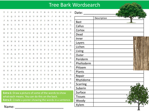Tree Bark Wordsearch Biology Starter Settler Activity Homework Cover ...