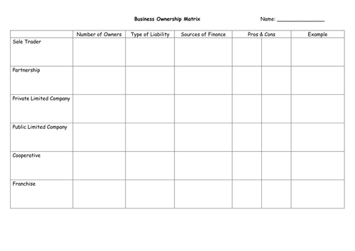 Business Ownership Matrix Worksheet | Teaching Resources