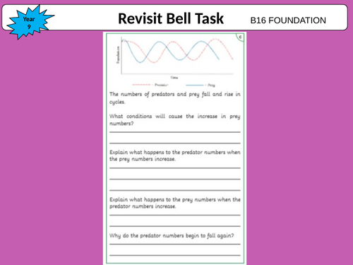 Deforestation and Peat Destruction NEW AQA 1-9 GCSE | Teaching Resources