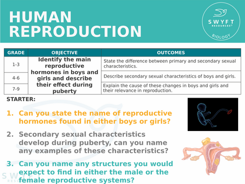 NEW AQA GCSE Trilogy (2016) Biology - Human Reproduction | Teaching ...