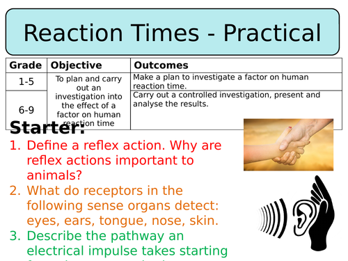 NEW AQA GCSE Trilogy (2016) Biology - Reaction time - Core Practical by ... NEW AQA GCSE Trilogy (2016) Biology - Reaction time - Core Practical by ...