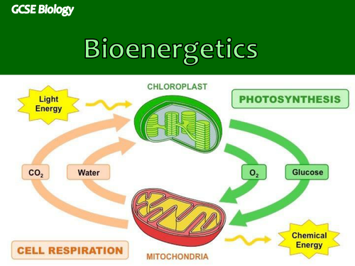 Mr van Os' Science resources - Teaching Resources - TES