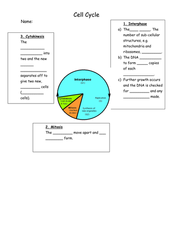 Mitosis and The Cell Cycle - New AQA Biology GCSE by Littlemizzbarbie ...