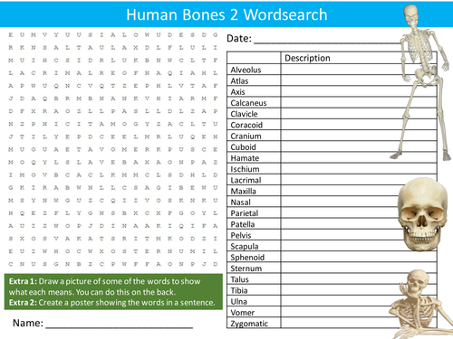 Human Bones 2 Wordsearch Anatomy Biology PE Starter Settler Activity ...