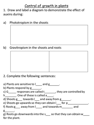 NEW AQA GCSE Biology (2016) - Plant hormones & responses HT | Teaching ...