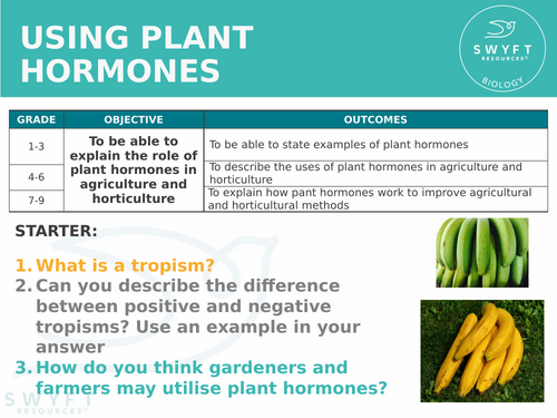 NEW AQA GCSE Biology (2016) - Using plant hormones HT | Teaching Resources