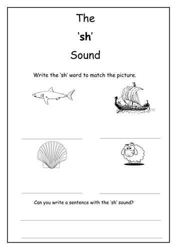 Phonics: sh sound worksheet | Teaching Resources