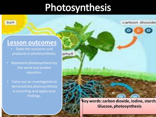 AQA new spec 2018 Introduction to photosynthesis | Teaching Resources