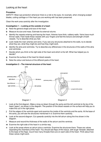New 9-1 GCSE AQA Biology B4 The Heart | Teaching Resources