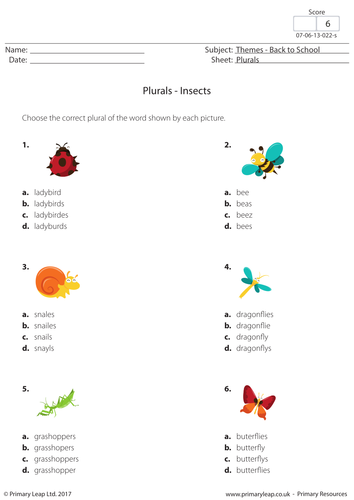 Plurals - Insects | Teaching Resources