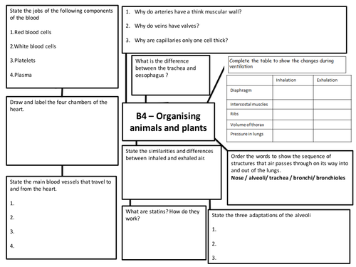 GCSE biology revision resources | Tes