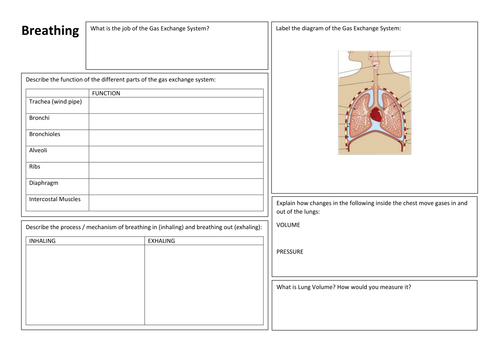 KS3 Biology - Breathing & Gas Exchange - Revision Summary Poster ...