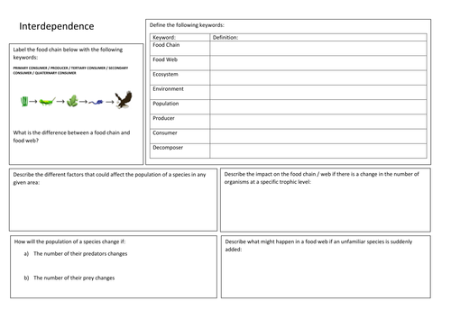 KS3 Biology - Interdependence - Revision Summary Poster | Teaching ...