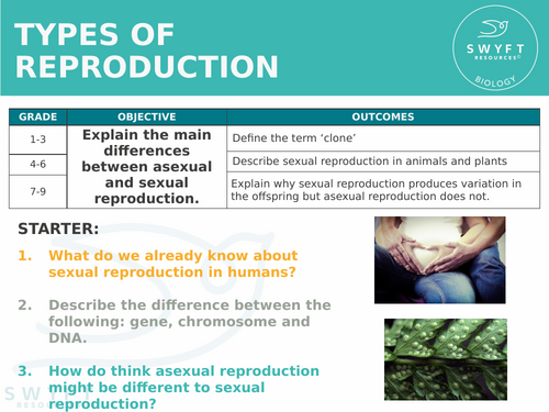 NEW AQA GCSE Trilogy (2016) Biology - Types of reproduction | Teaching ...