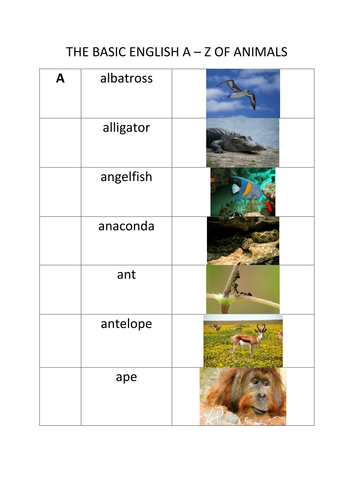 THE BASIC ENGLISH A -Z OF ANIMALS | Teaching Resources