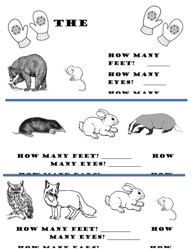 Differentiated Adding using The Mitten by Jan Brett | Teaching Resources