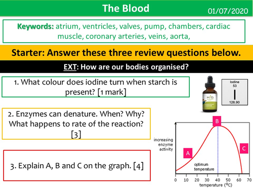 The Blood | Teaching Resources