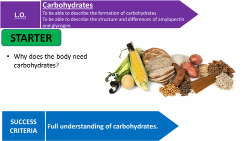 Carbohydrates and Lipids OCR 2015 | Teaching Resources