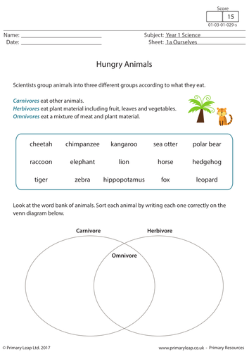 Science Resource - Hungry Animals | Teaching Resources