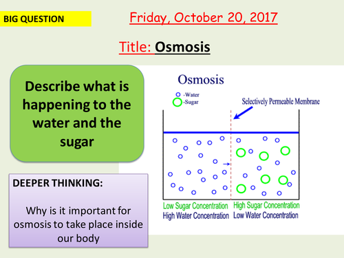AQA new specification-Osmosis B1.7 (Including required practical lesson ...