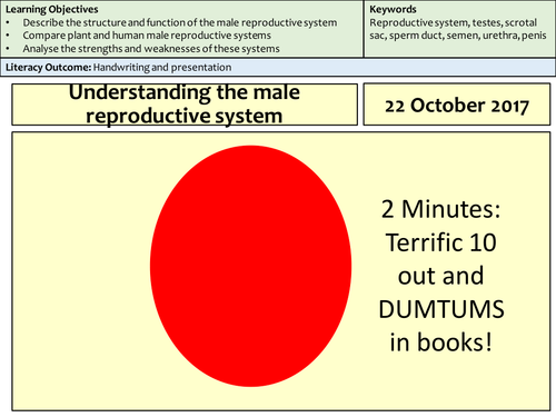 KS3 science understanding the male reproductive system | Teaching Resources