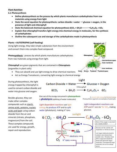 IGCSE BIOLOGY - 6.0 Plant Nutrition | Teaching Resources