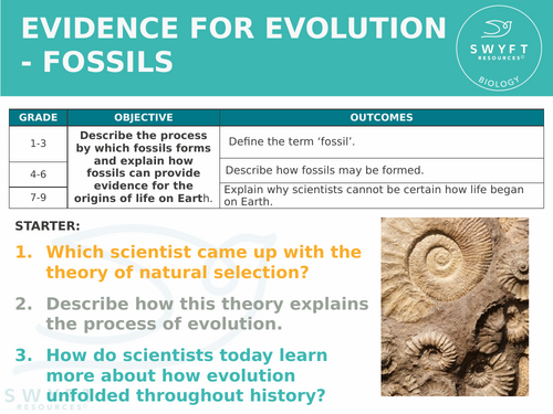 NEW AQA GCSE Trilogy (2016) Biology - Evidence for evolution: Fossils ...