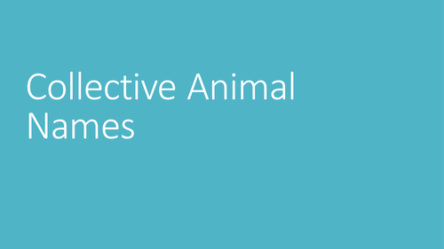 Form Time Quiz Printable - Printable Forms Free Online