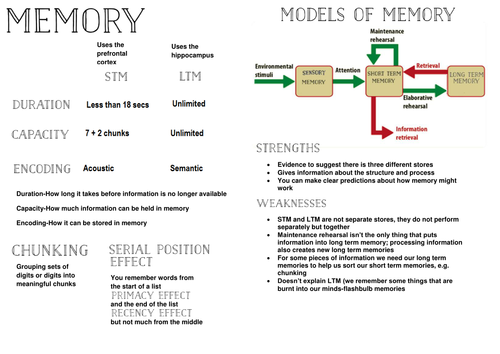 Psychology: Memory | Teaching Resources