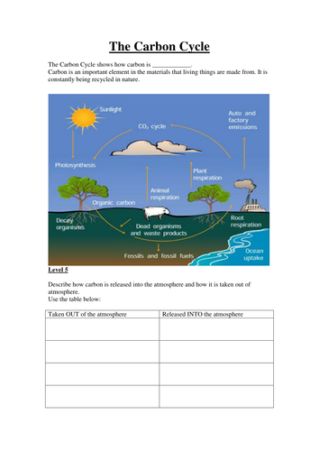 GCSE Combined Science Biology B7 ECOLOGY ppt (Foundation) | Teaching ...