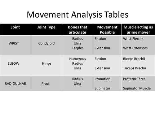OCR A Level PE Movement Analysis Tables | Teaching Resources