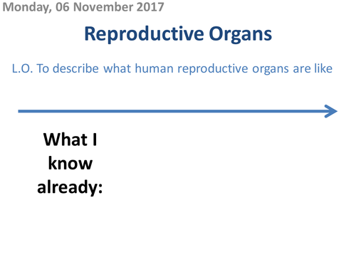 Reproductive Organs | Teaching Resources Reproductive Organs | Teaching Resources