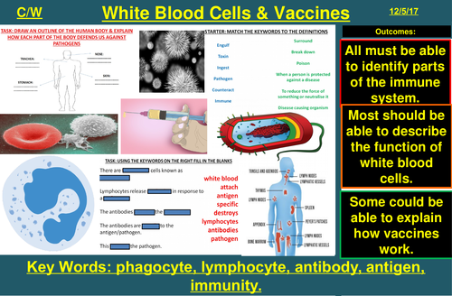 Human Defence Systems, White Blood Cells, Vaccination | AQA B1 4.3 ...