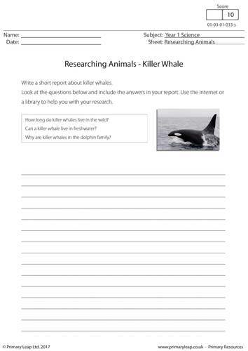 Science Worksheet - Researching Animals: Killer Whale | Teaching Resources