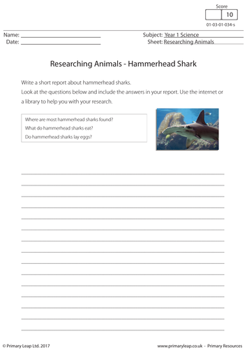 Science Worksheet - Researching Animals: Hammerhead Shark | Teaching ...