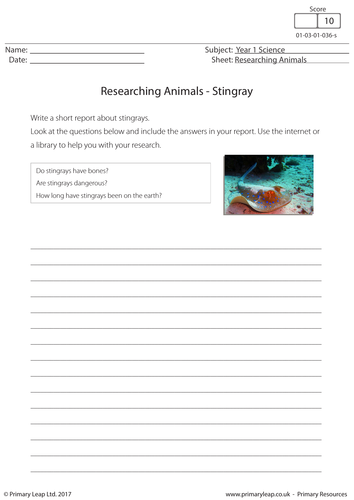 Science Worksheet - Researching Animals: Stingray | Teaching Resources