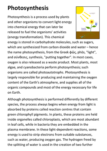 Photosynthesis Handout | Teaching Resources