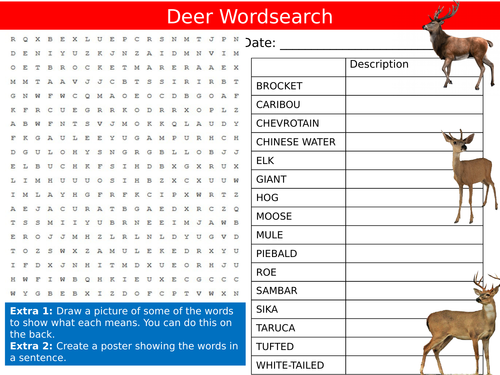 Deer Animals Wordsearch Nature & Wildlife Starter Settler Activity ...