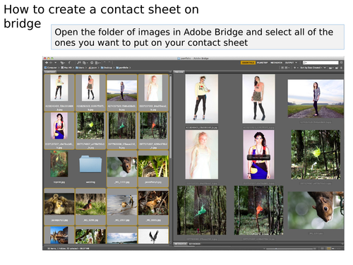 Photography Contact sheet on Adobe Bridge guide | Teaching Resources