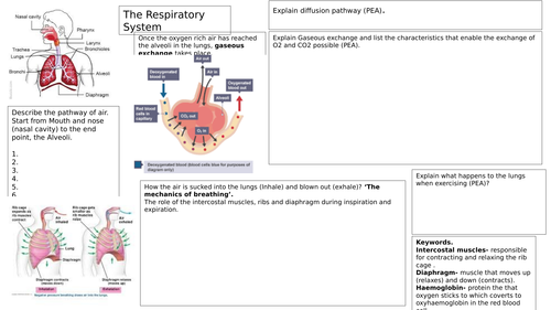 AQA GCSE PE2016 GRADES 9-1 | Teaching Resources