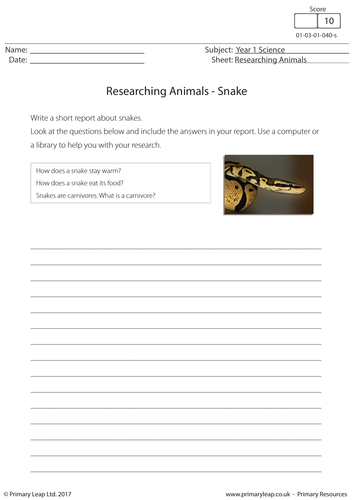 Science Worksheet - Researching Animals: Snake | Teaching Resources