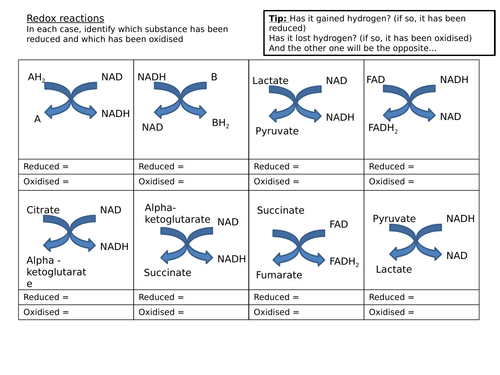 A Level Biology Redox reactions | Teaching Resources