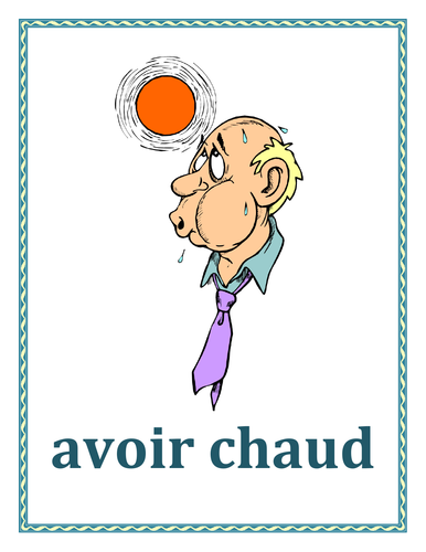 Expressions avec avoir French Posters | Teaching Resources