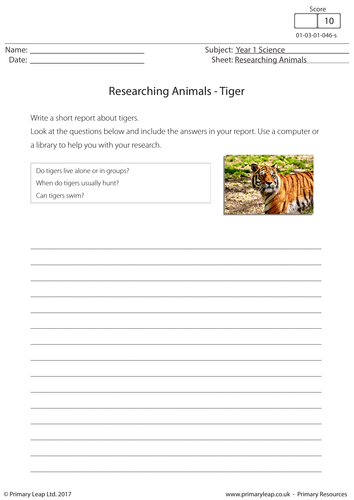 Researching Animals - Tiger | Teaching Resources