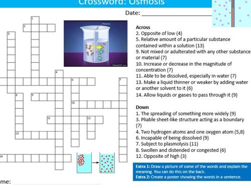 Osmosis Crossword Science Biology Starter Keywords Activity KS3 GCSE ...